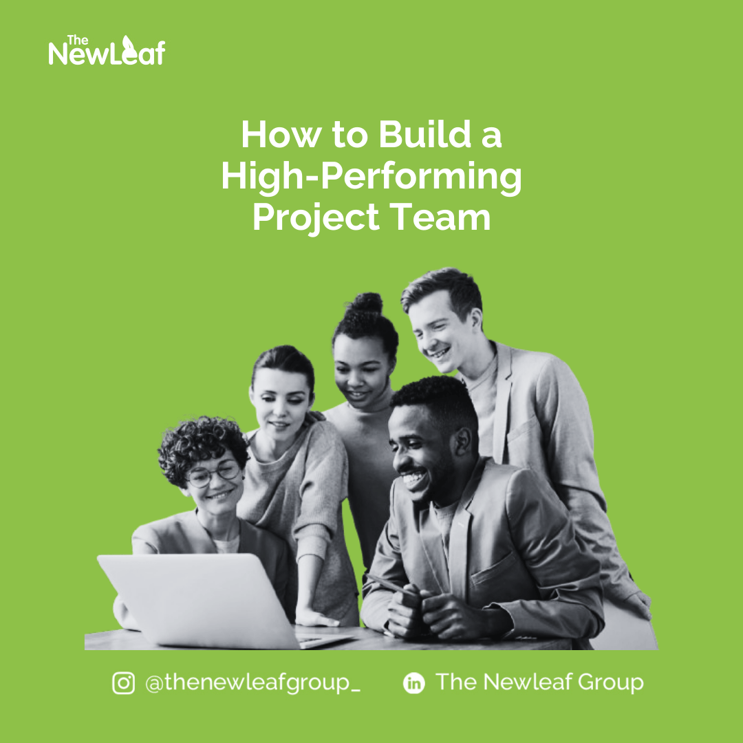 How to Build a High-Performing Project Team - The Newleaf Group